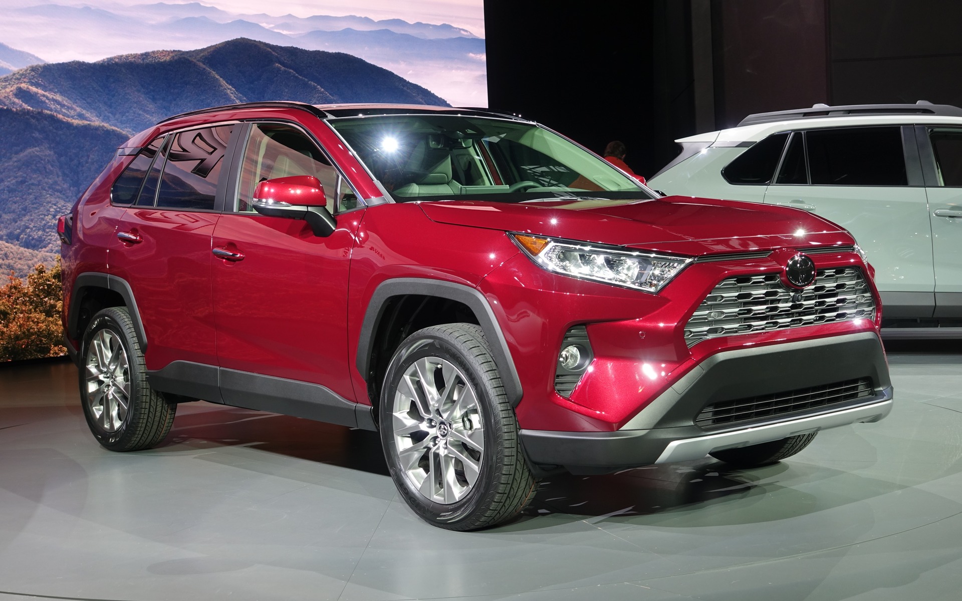 Three Faces for the New 2019 Toyota RAV4 - 2/9