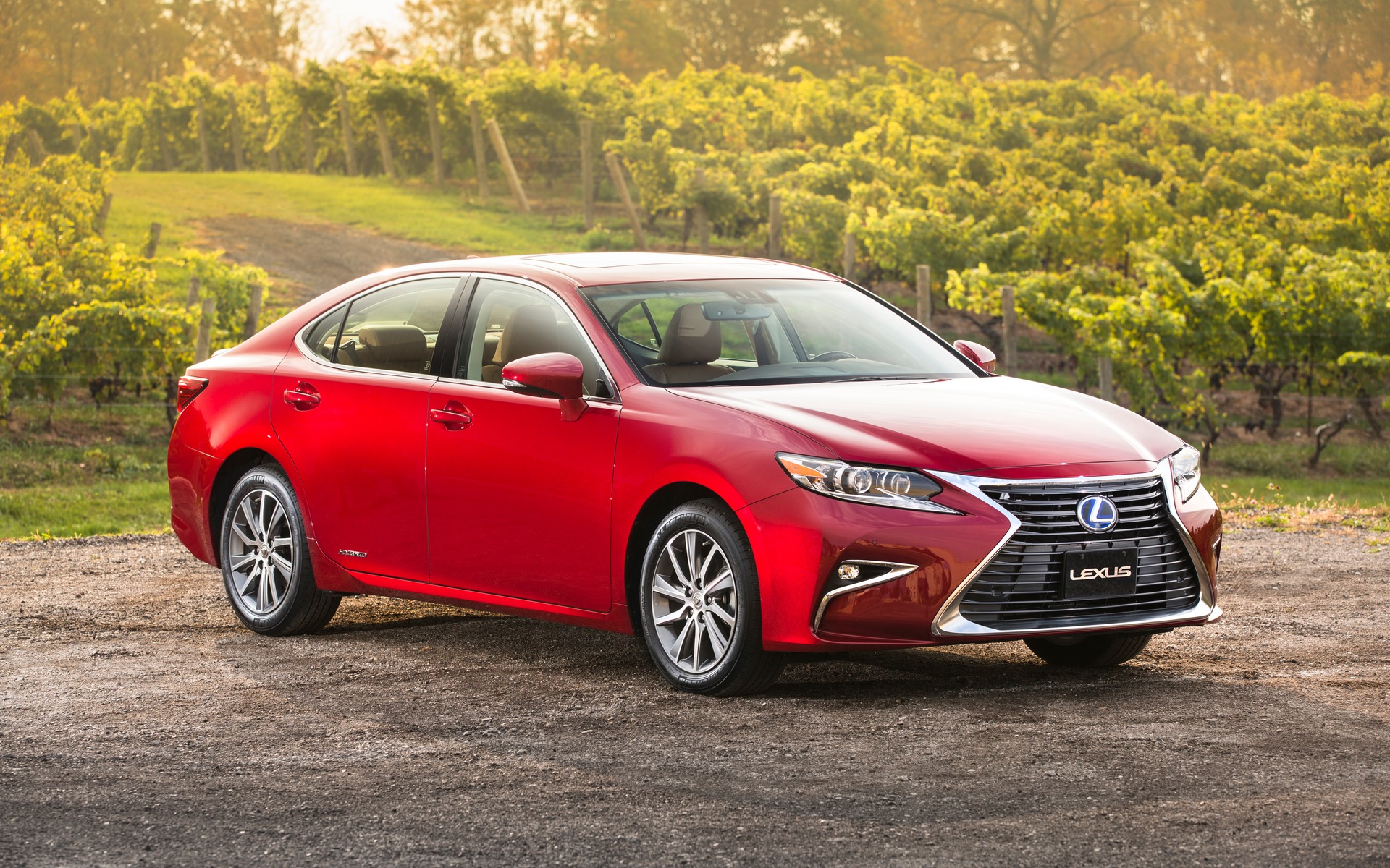 Photos Lexus ES 2017 1 3 Guide Auto